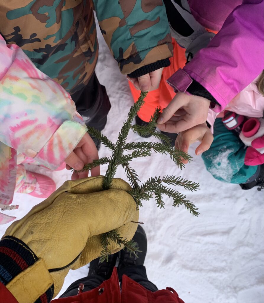 Winnipeg Trails In Schools Winnipeg Trails Association